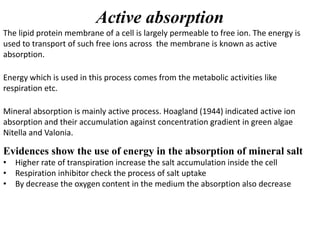 Mineral Absorption | PPTX