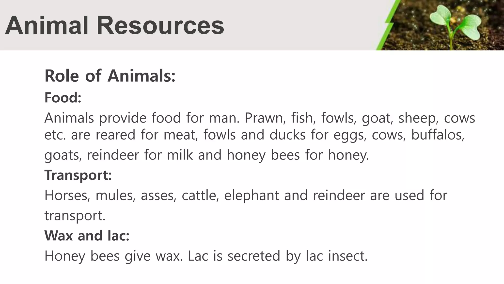 Mineral and Biotic resources | PPTX