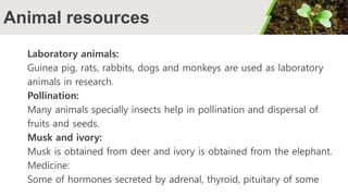 Mineral and Biotic resources | PPTX