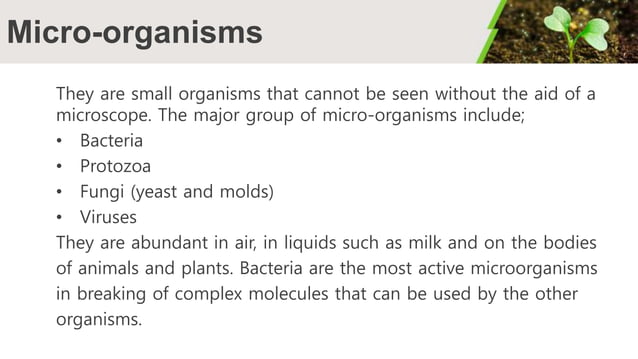 Mineral and Biotic resources | PPTX | Commodities | Economy