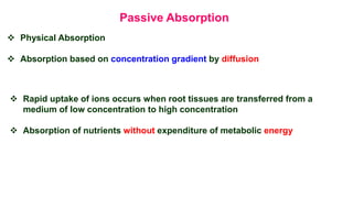 Mineral and theories | PPT