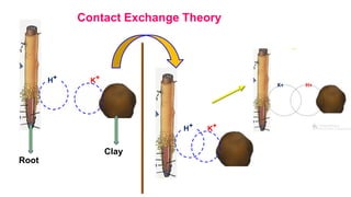 Mineral and theories | PPT