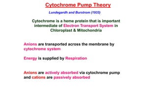 Mineral and theories | PPT