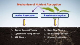 Mineral and theories | PPT