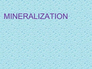 mineralization.ppt