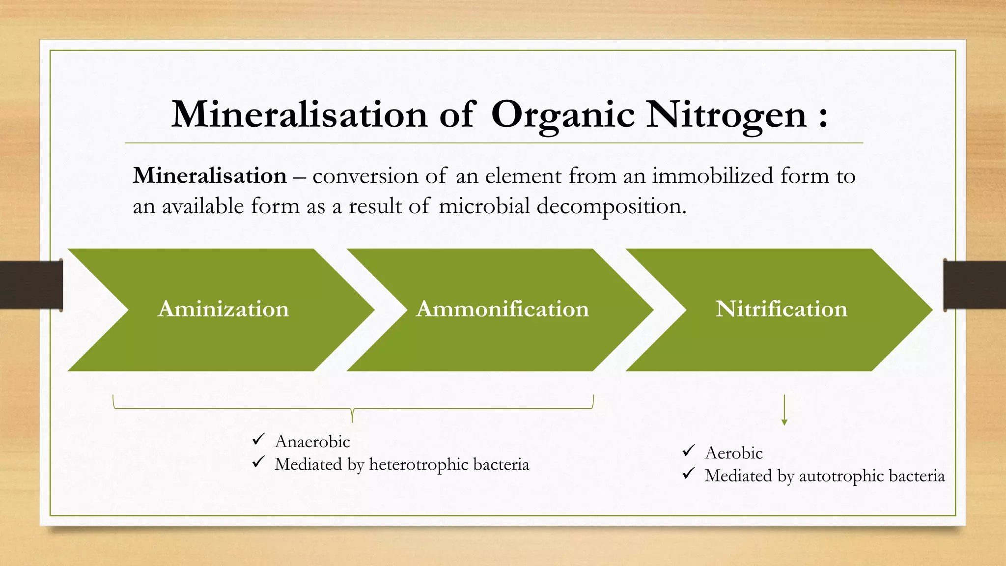 Mineralization of organic nitrogen | PDF