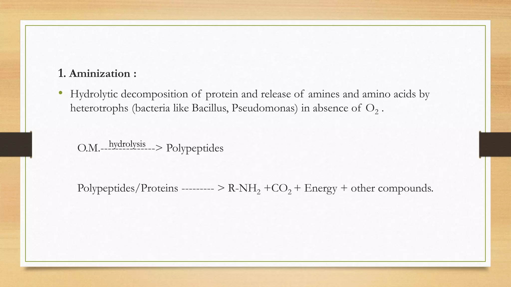 Mineralization of organic nitrogen | PDF