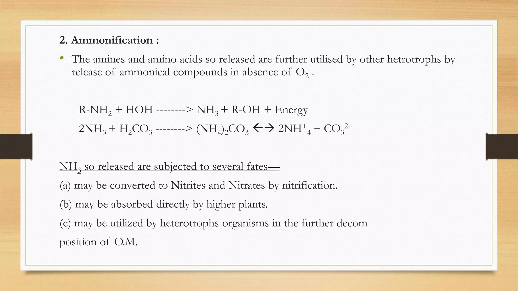 Mineralization of organic nitrogen | PDF