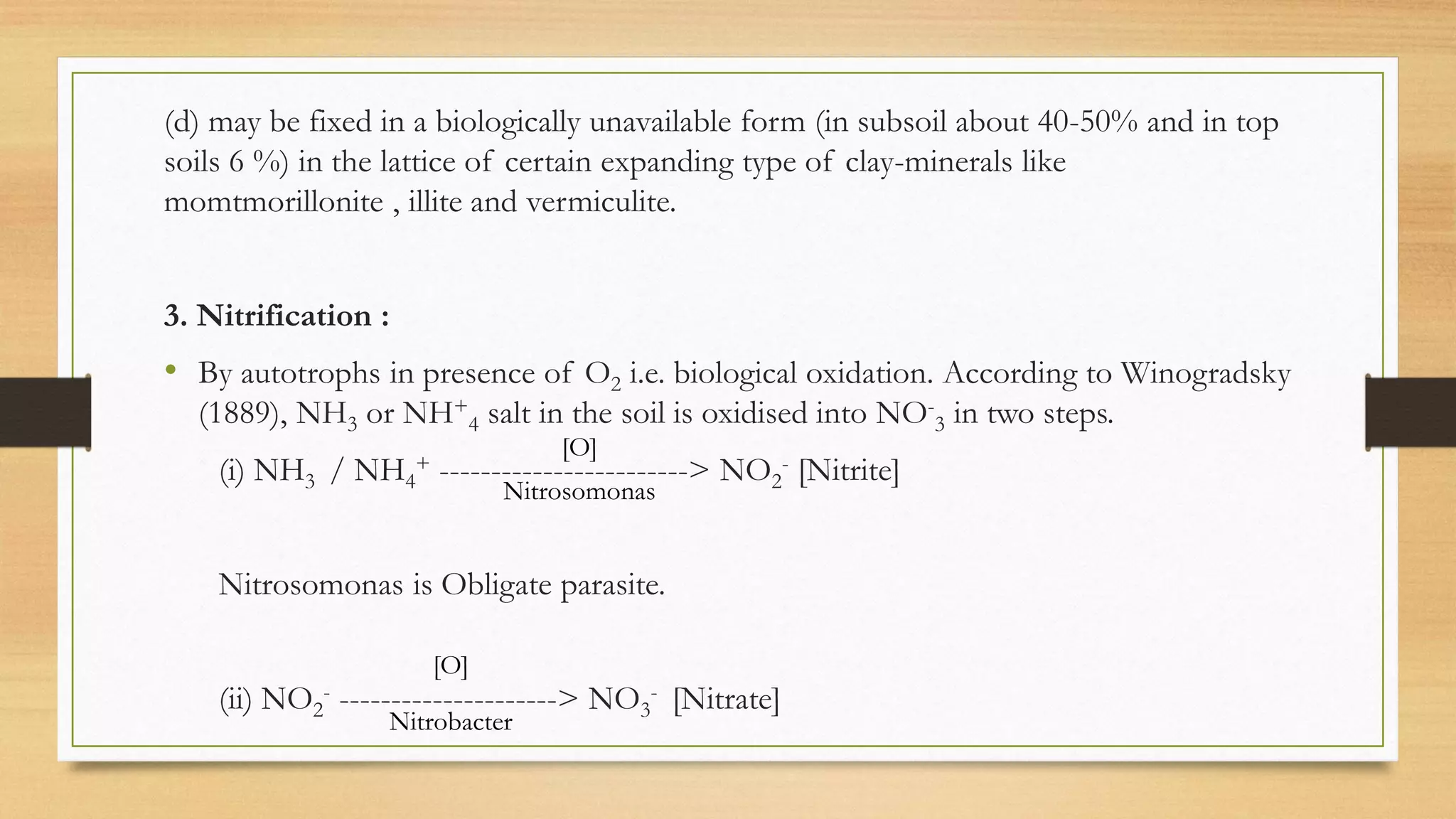 Mineralization of organic nitrogen | PDF | Chemistry | Science