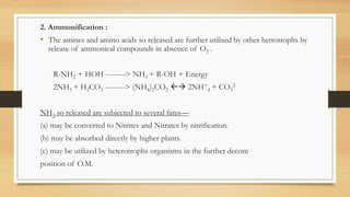 Mineralization of organic nitrogen | PDF