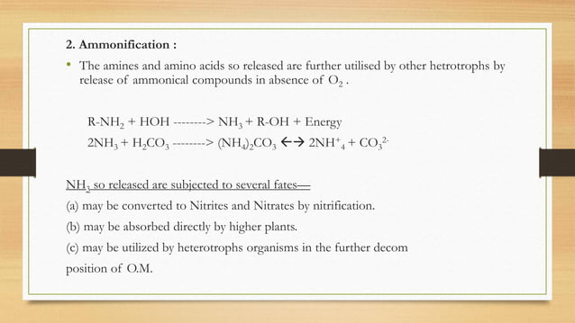 Mineralization of organic nitrogen | PDF | Chemistry | Science