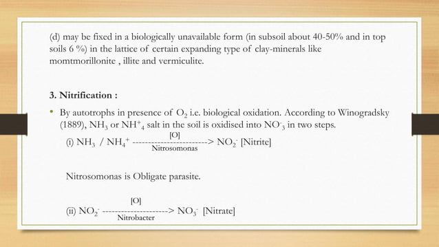 Mineralization of organic nitrogen | PDF | Chemistry | Science