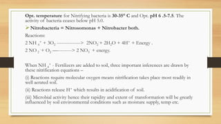 Mineralization of organic nitrogen | PDF | Chemistry | Science