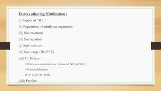 Mineralization of organic nitrogen | PDF