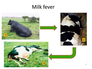 Calcium and Phosphorus in Livestock | PPTX