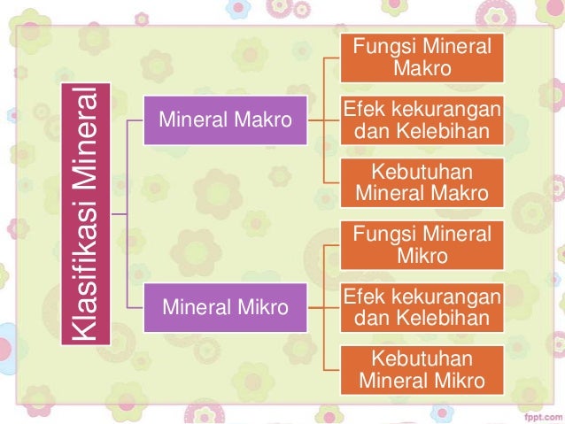 Zat Gizi Mineral Makro-Mikro