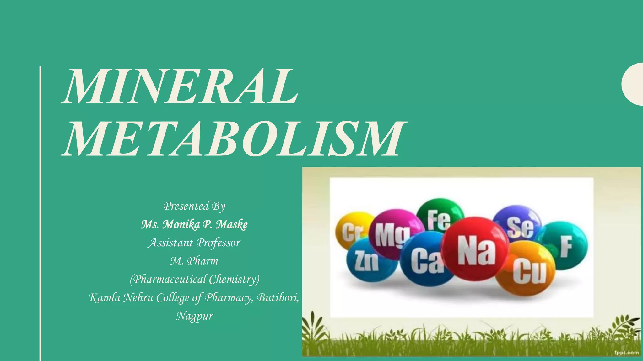 Mineral metabolism | PPTX