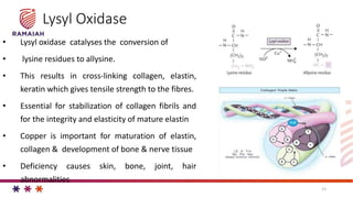 Mineral_ Metabolism_Coppermineralss.pptx