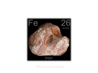 MINERAL METABOLISM II and regulations (1)-1.pptx