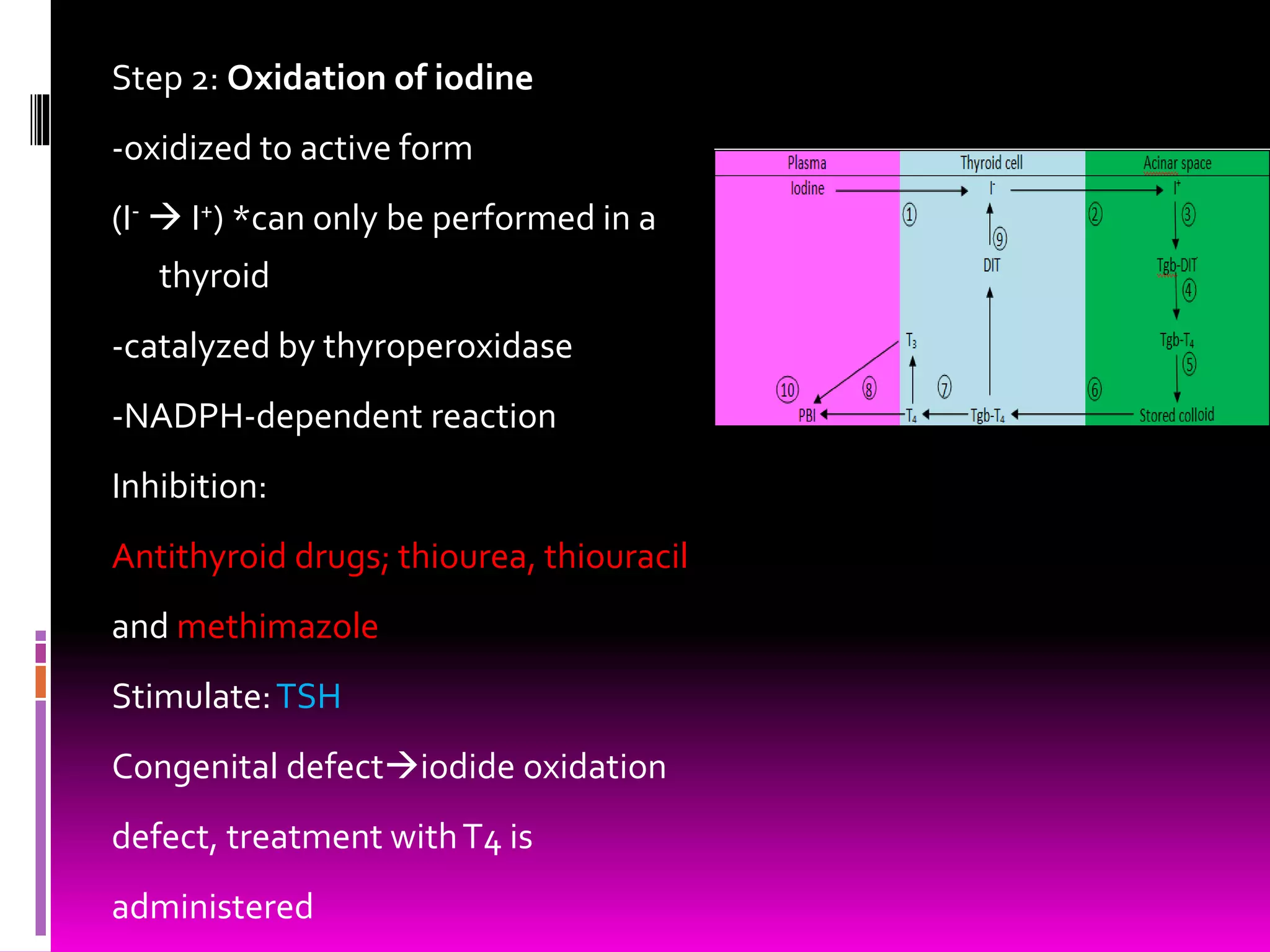 Mineral metabolism (iodine & zinc) -Biochemistry | PPTX