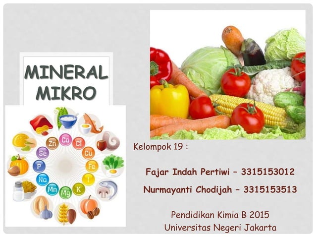 Mineral Mikro | PPTX