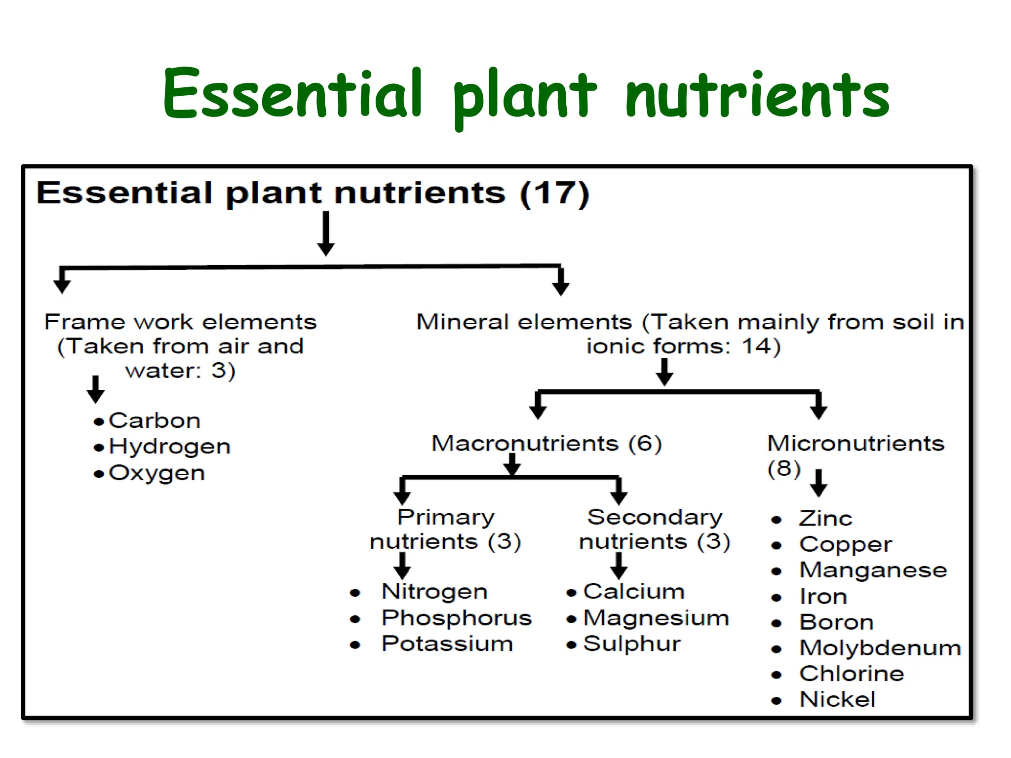 Mineral nutrition of Plants: Functions and deficiency symptoms of ...