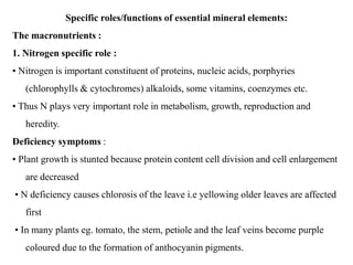 Mineral nutrition of Plants: Functions and deficiency symptoms of ...