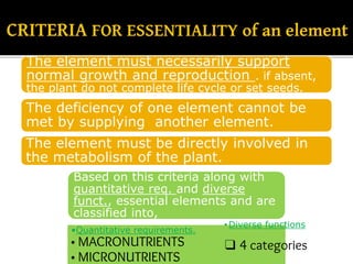 Mineral nutrition | PPTX