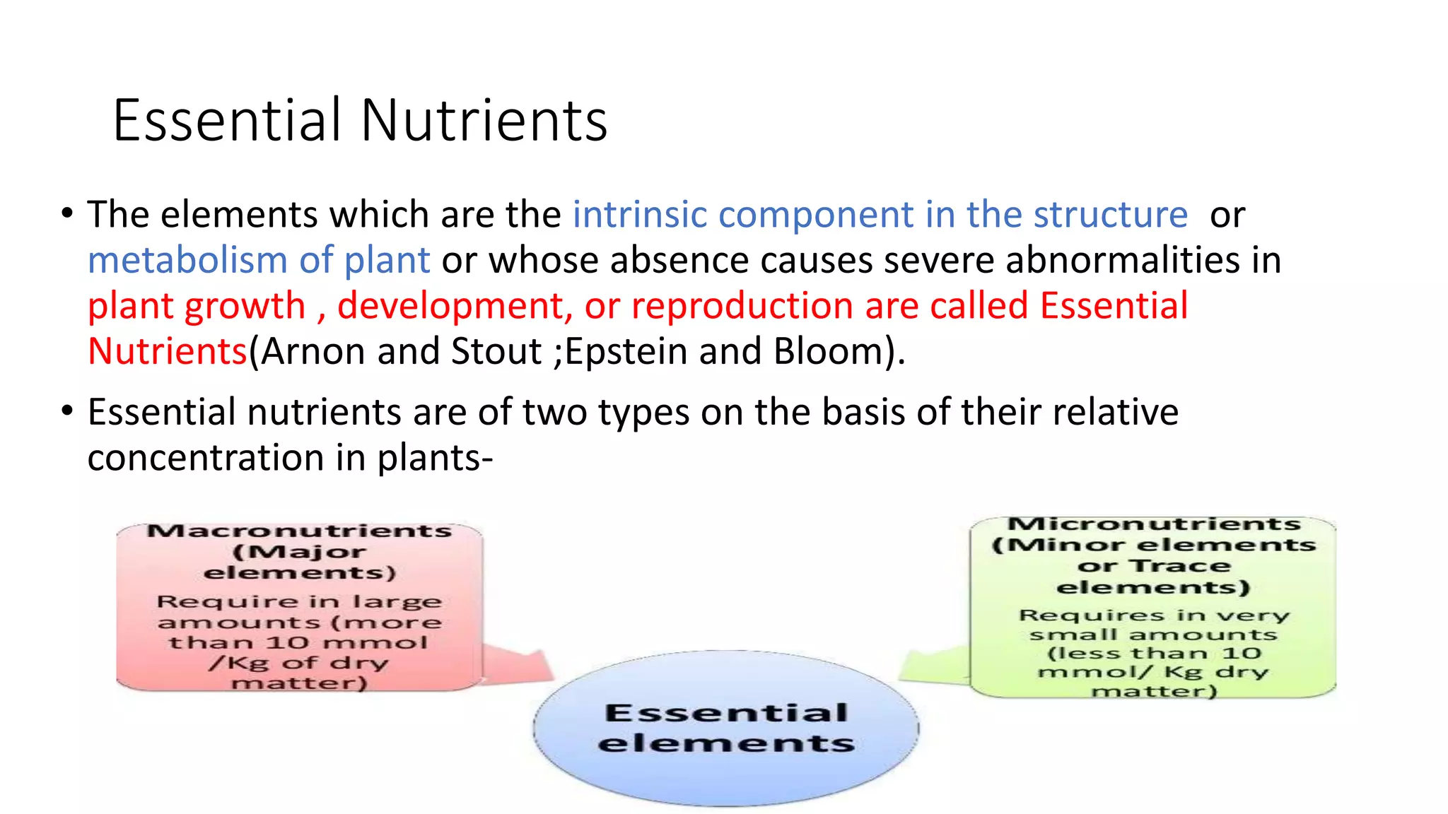 mineral nutrition.pptx