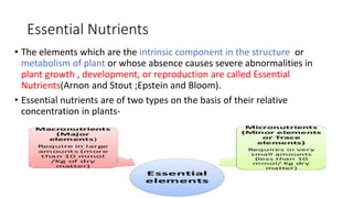 mineral nutrition.pptx
