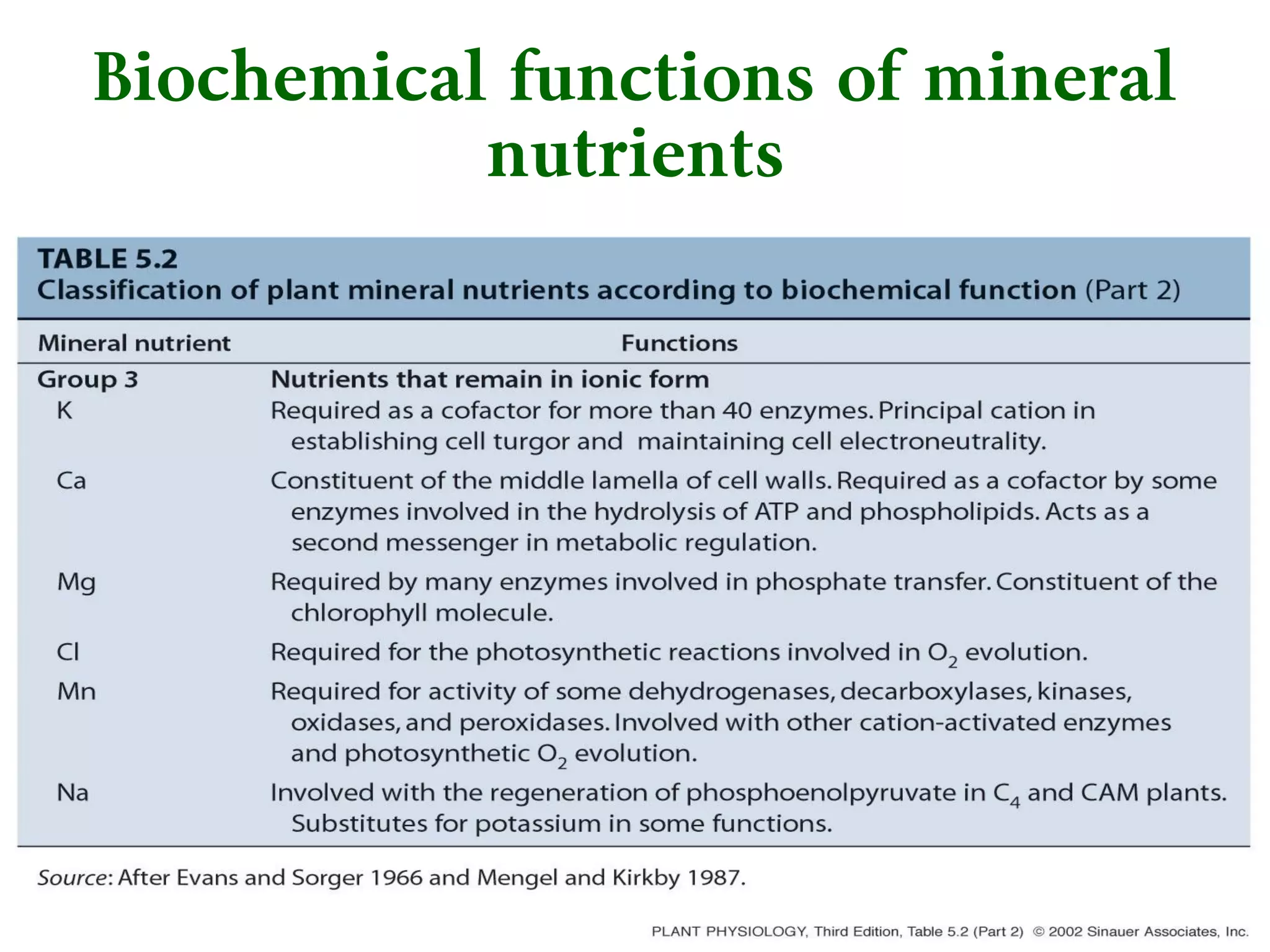 Mineral nutrition in plants | PDF