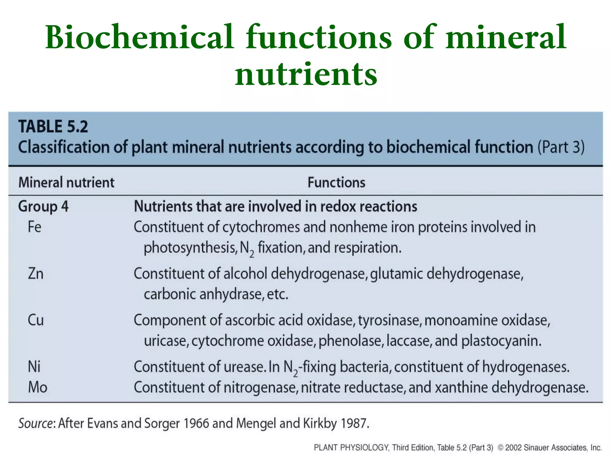 Mineral nutrition in plants | PDF