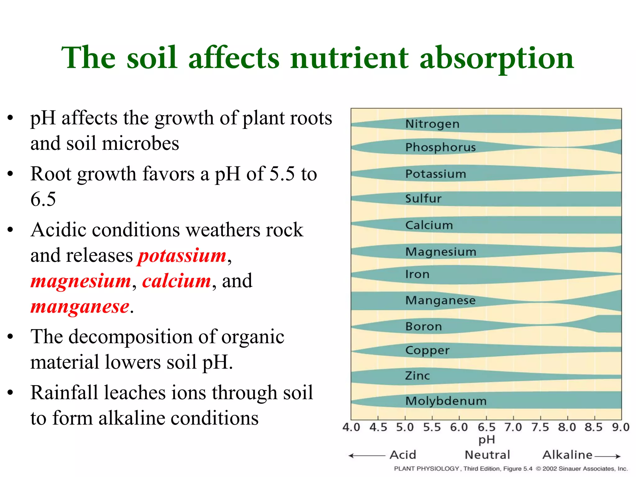 Mineral nutrition in plants | PDF