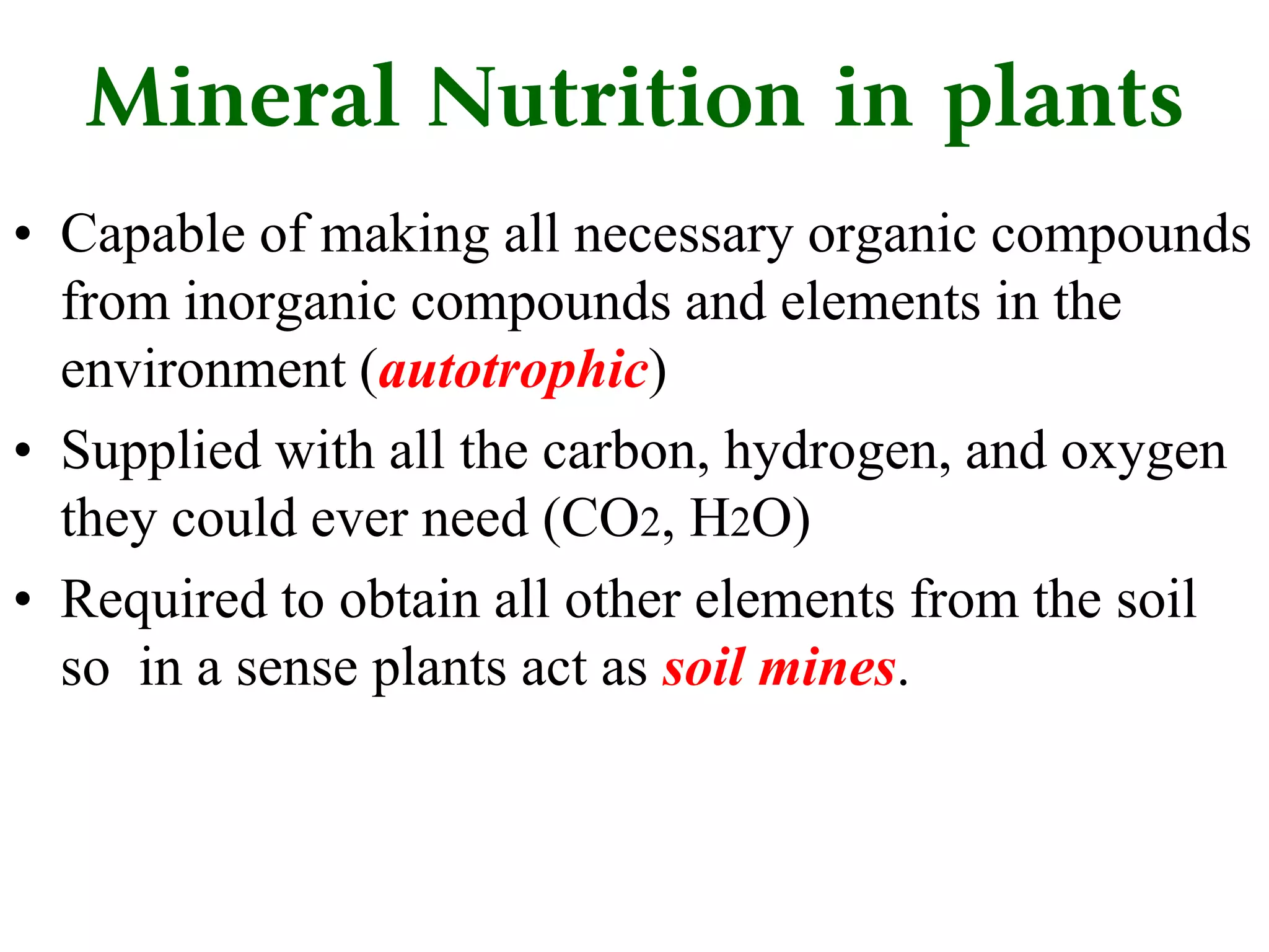 Mineral nutrition in plants | PDF