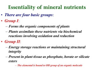 Mineral nutrition in plants | PDF