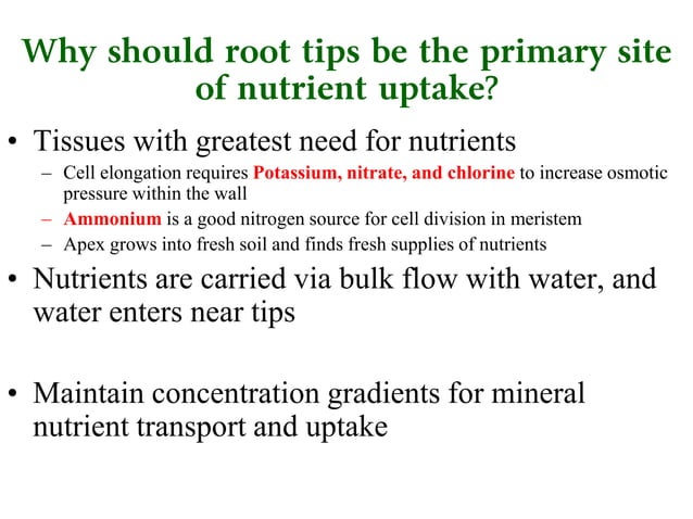 Mineral nutrition in plants | PDF | Gardening | Home & Garden
