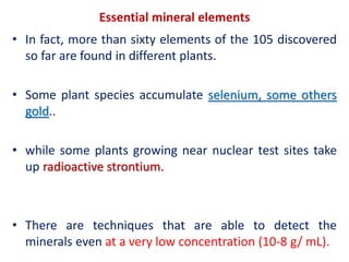 Mineral nutrition in plants, Hydroponics, Toxic elements, Micro, Macro ...
