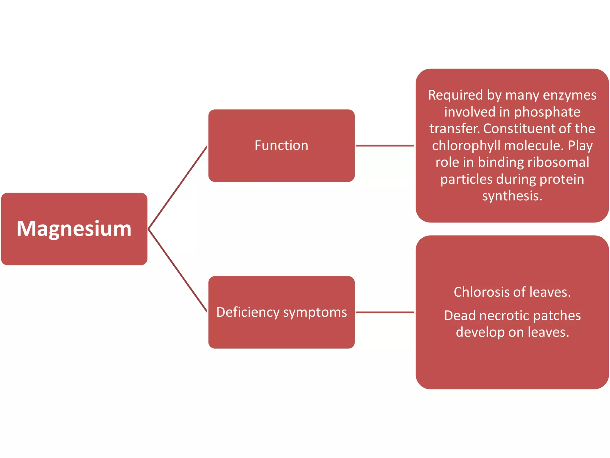 Mineral nutrition of plants | PDF