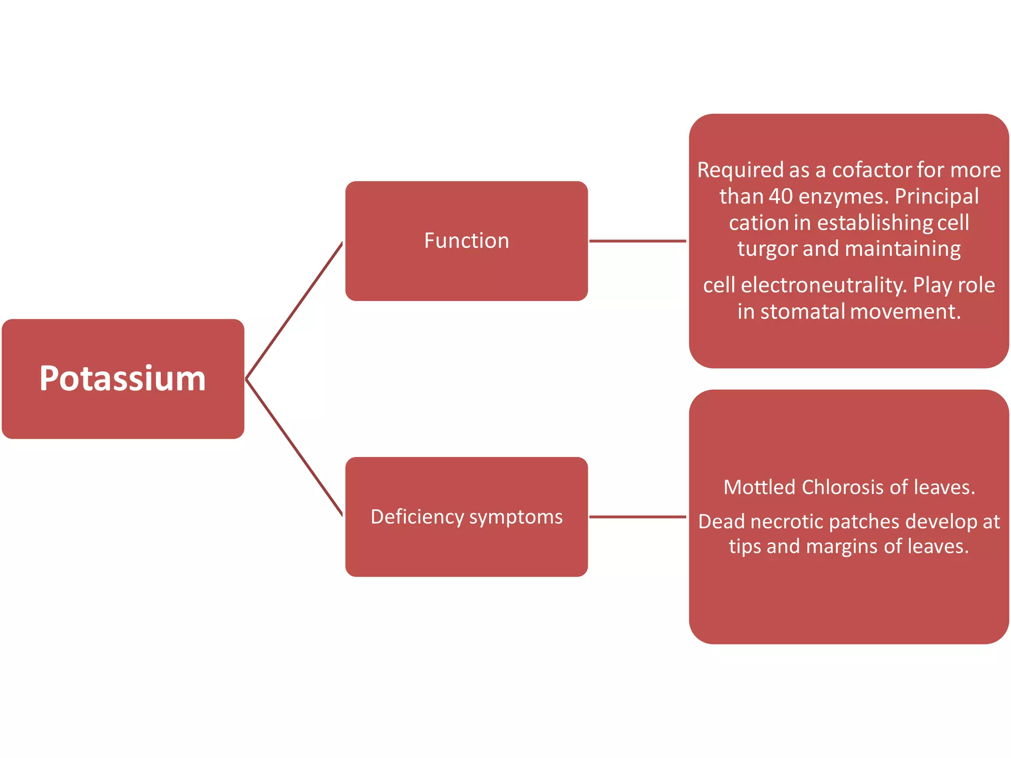 Mineral nutrition of plants | PDF