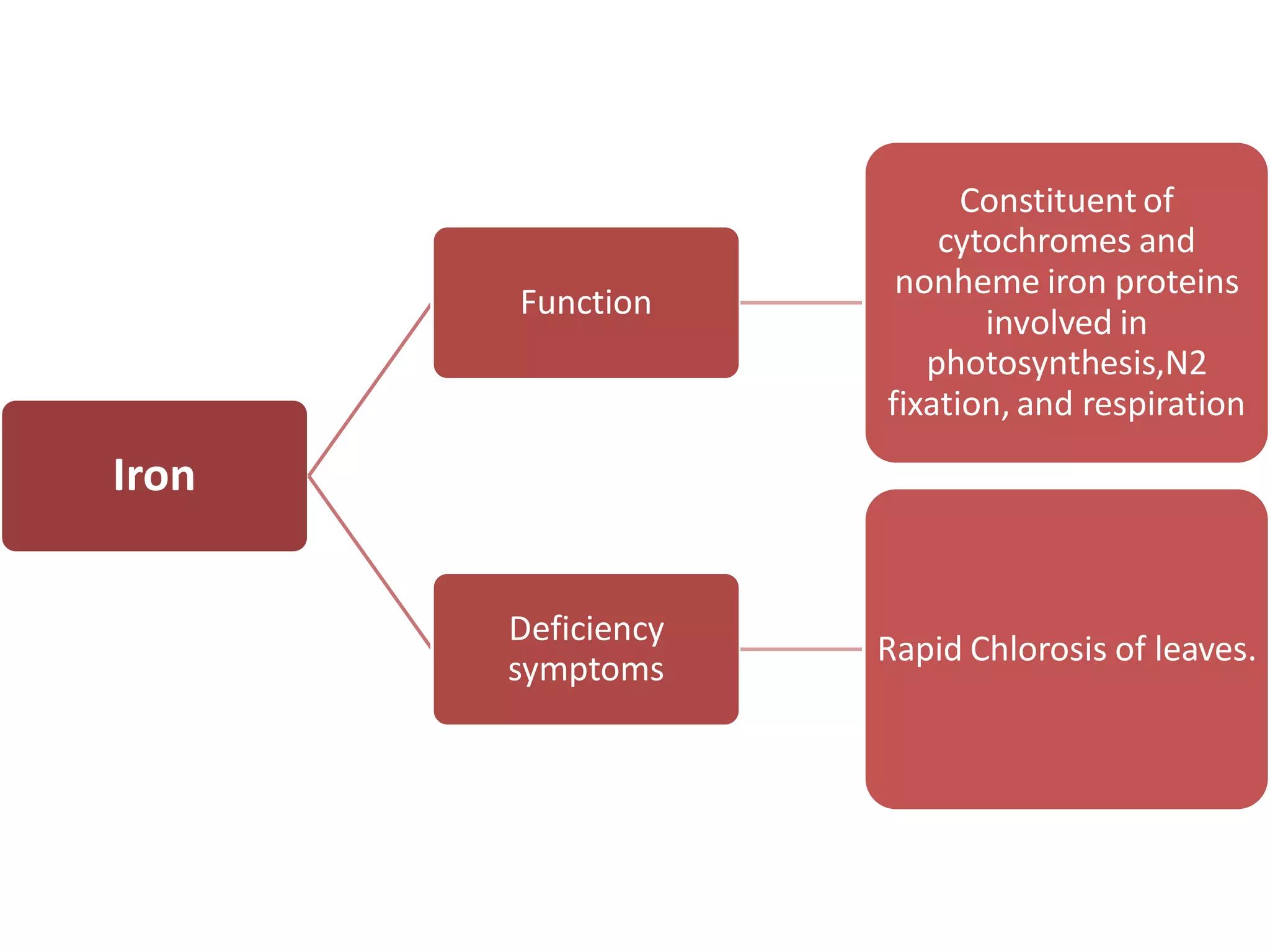 Mineral nutrition of plants | PDF