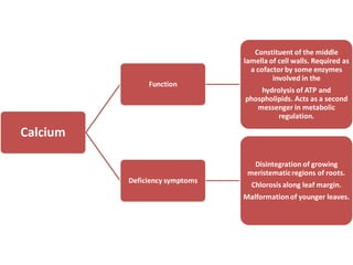 Mineral nutrition of plants | PDF
