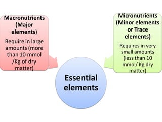 Mineral nutrition of plants | PDF