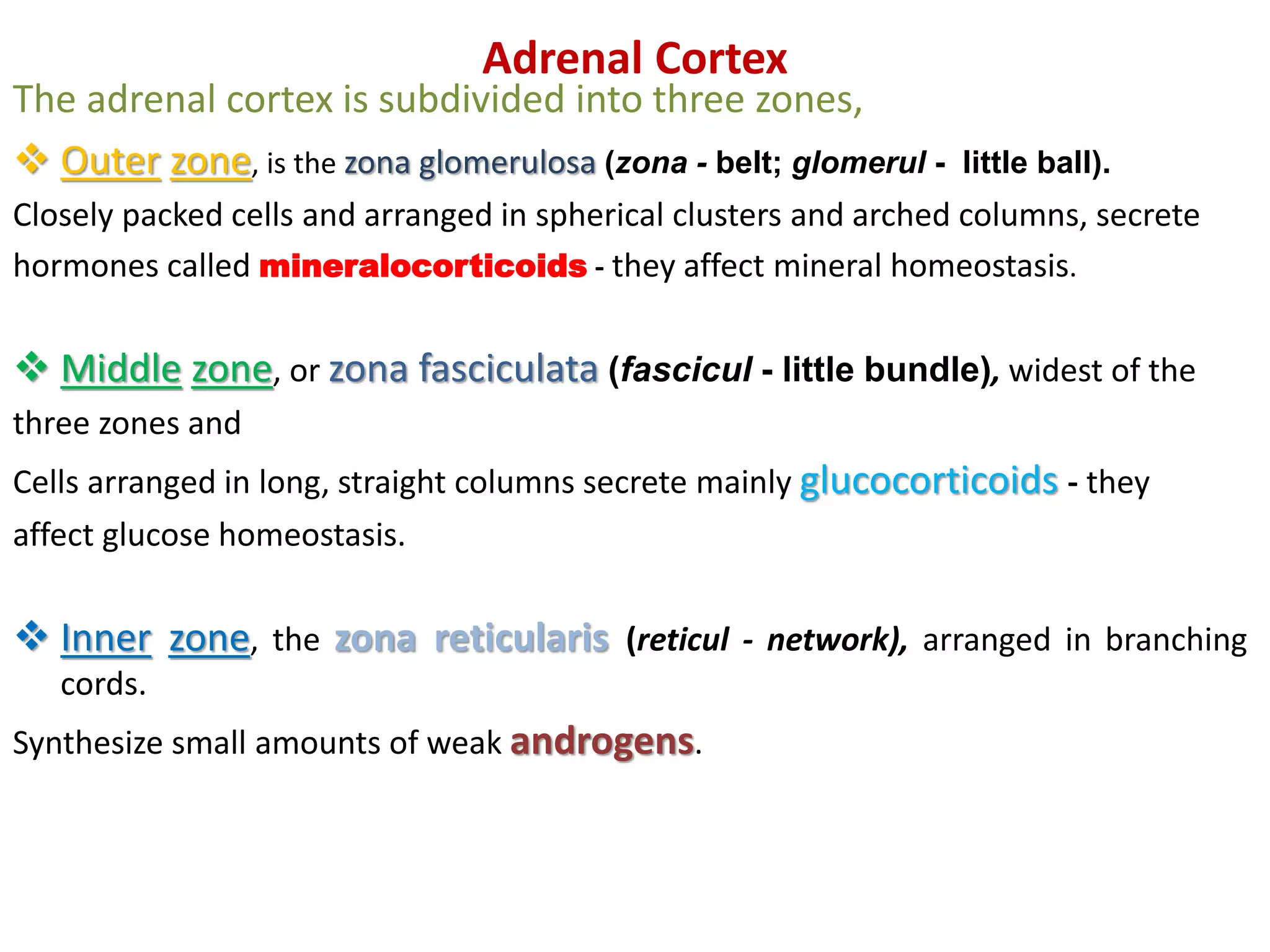 Mineralocorticoids- Aldosterone, renin angiotensin system | PPTX