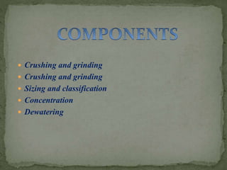 Mineral Processing Tech ppt.pptx