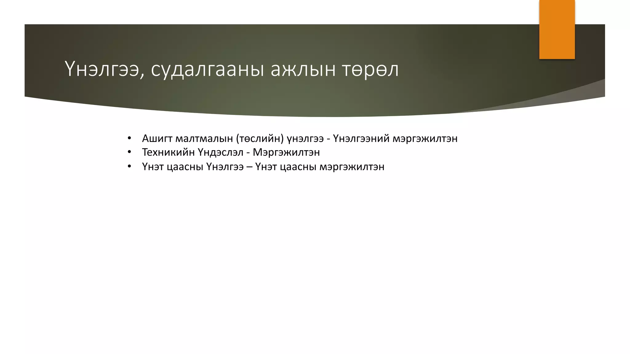 Ашигт малтмалын хөрөнгийн үнэлгээ Mineral Mining Project Valuation