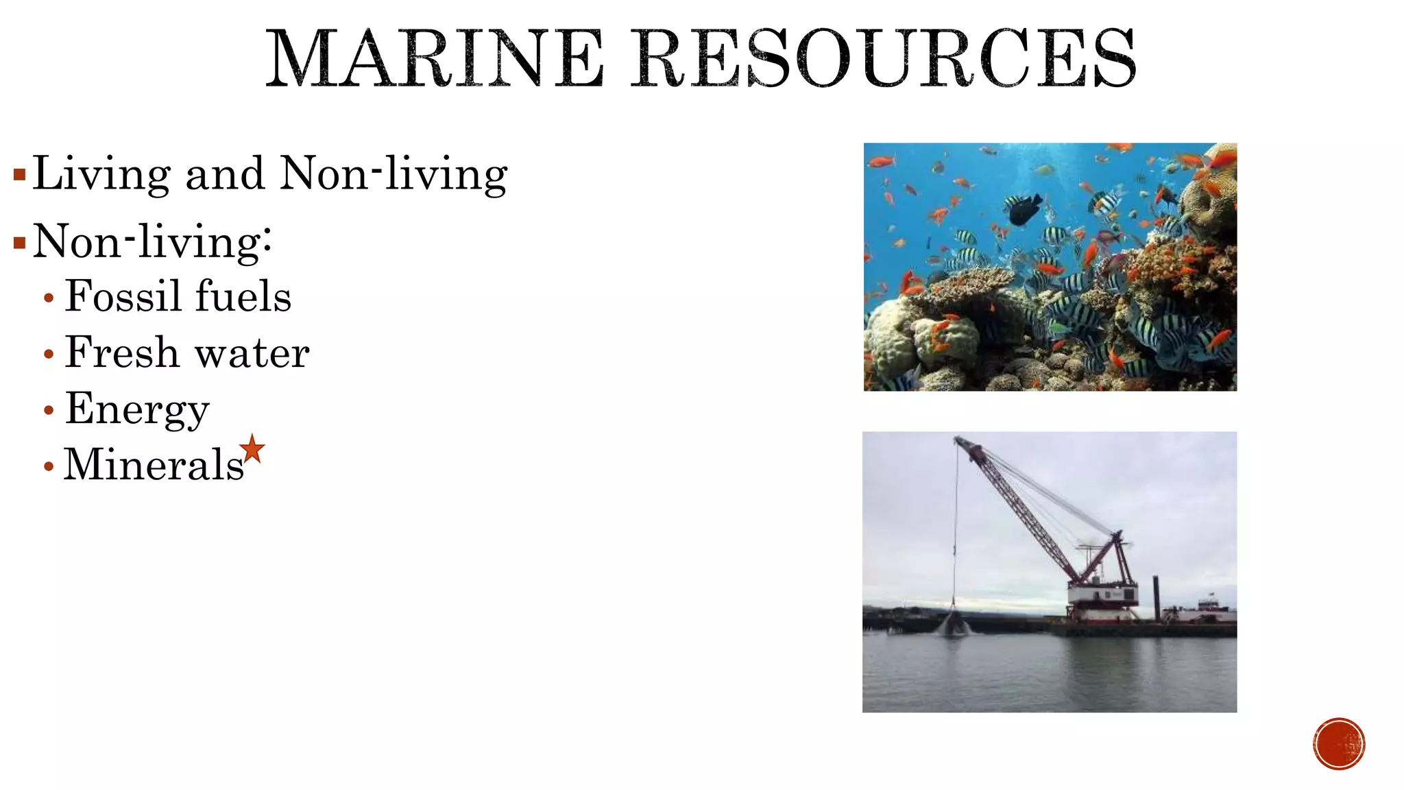 Mineral resources on the ocean floor, M. Sc. Zoology, University of ...