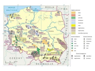 Mineral resources in Poland | PPTX