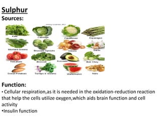 Minerals | PDF