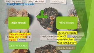 Minerals. final.pptx