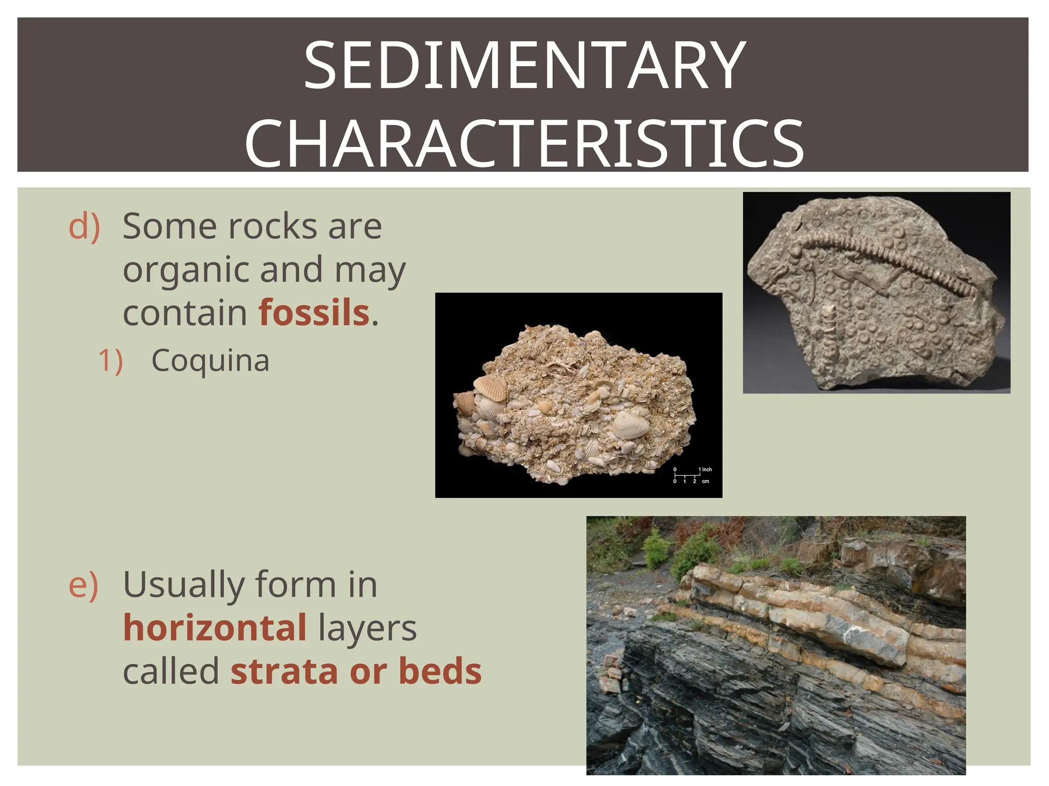 Minerals_-_Rocks power point for grade 11 | PPT | Chemistry | Science